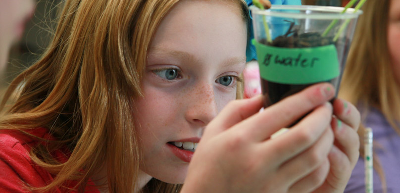 Teaching & Learning - Peter Lougheed School